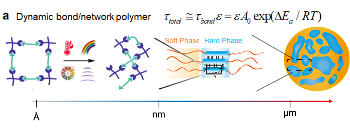 Adaptive (Bio)polymers Composites – Kuang Lab – UW–Madison