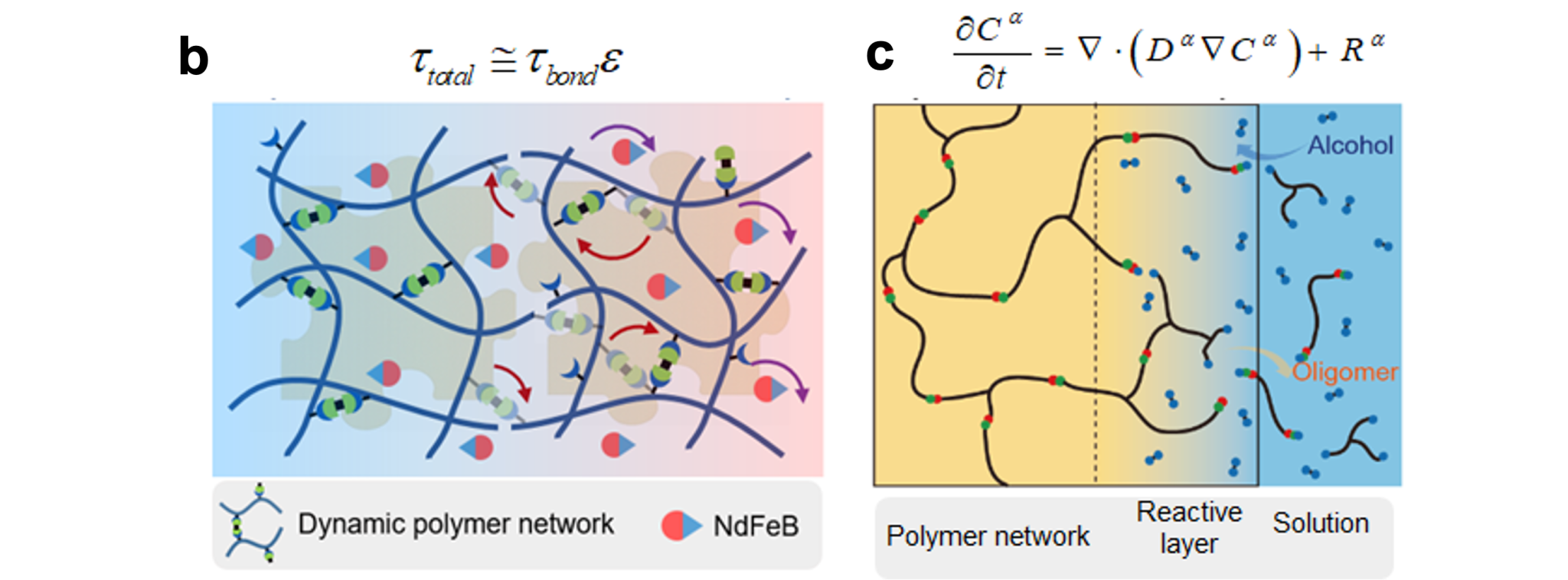 Adaptive (Bio)polymers Composites – Kuang Lab – UW–Madison