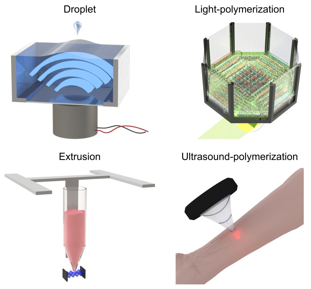 (Small Methods) Acoustic Bioprinting: A Glimpse Into an Emerging Field ...
